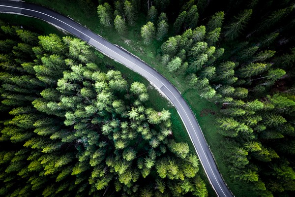 Erdei utak - Vászonkép Nyomda